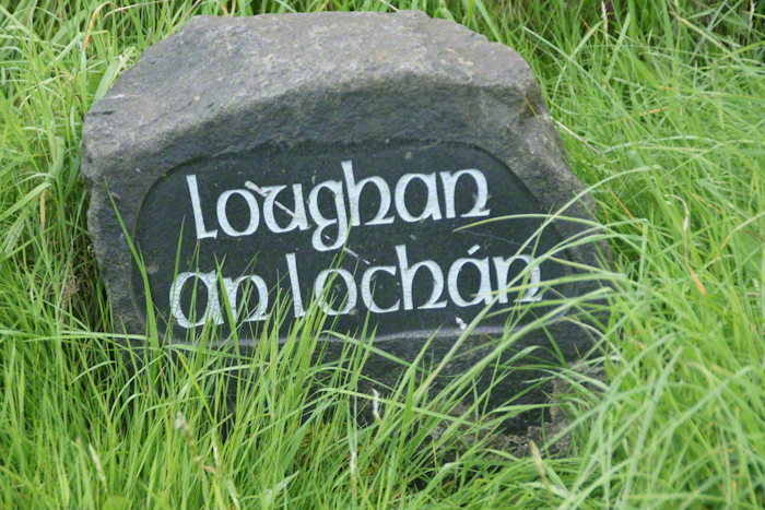 Loughan an Lochan Ruin I – Michael Stephen Wills Photography