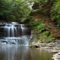 Finger Lakes nature trails – Michael Stephen Wills Photography
