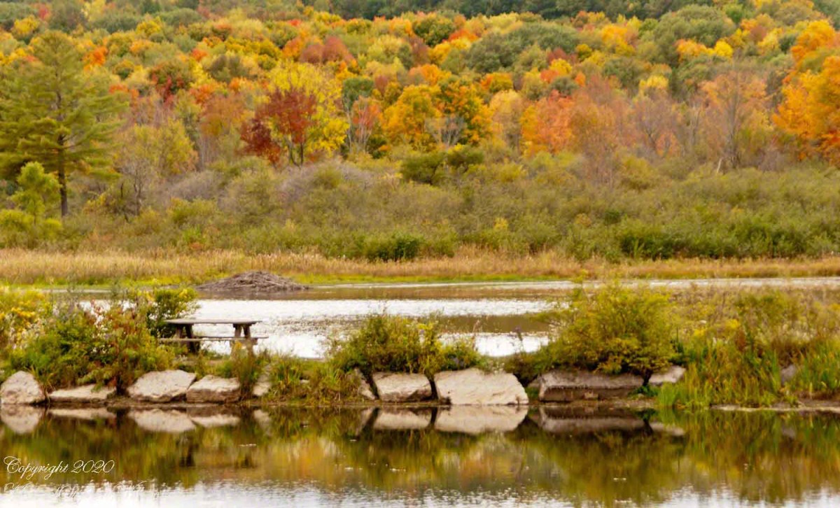 more Jennings Pond III – Michael Stephen Wills Photography