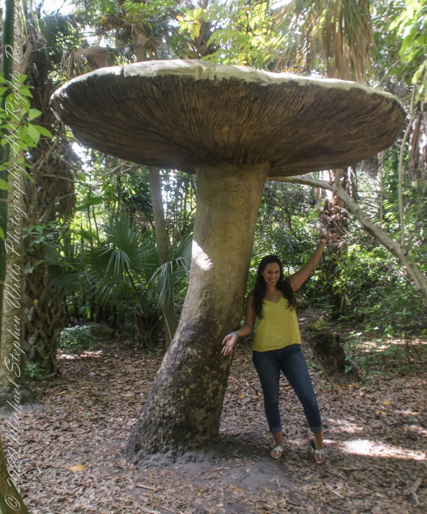 Memorial Mushroom – Michael Stephen Wills Photography