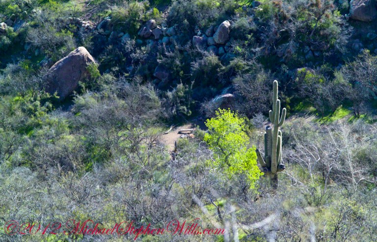 Reavis Canyon Camp – Michael Stephen Wills Photography