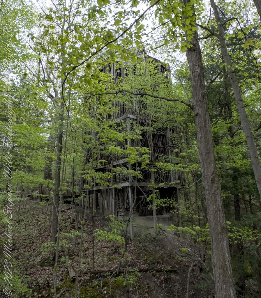 The Joy of Adventure at Treetops – Michael Stephen Wills Photography