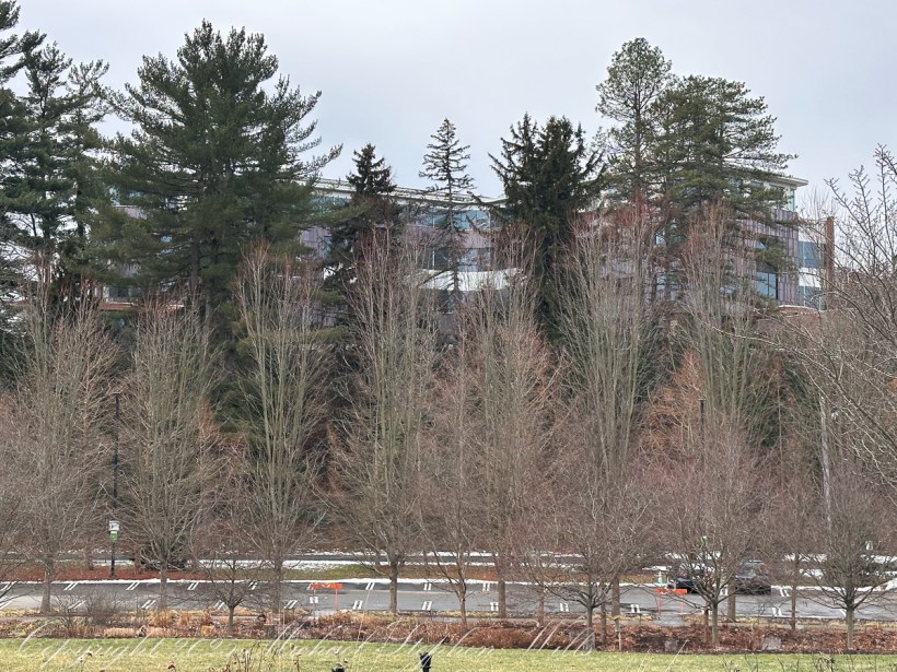 Atkinson Hall and the Quiet Confidence of Good Design – Michael Stephen ...